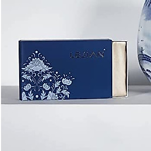 LEJIAN Silk Bedding Pillowcases - 2 Pack Queen Size(20X30 Inch) - Hemstitched Pillow Cases - Soft Silk Pillowcase with Envelope Closure, White