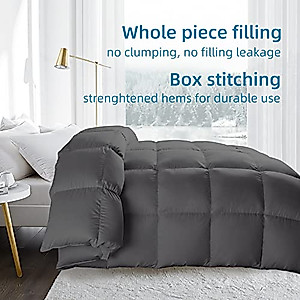 COONP All Season Queen Comforter Cooling Down Alternative Quilted Duvet Insert with Corner Tabs,Winter Warm Hotel Comforter,Machine Washable-88 x 88 Inches,Grey