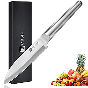 PAUDIN Kitchen Knife, High Carbon German Stainless Steel Chef Knives, Super Sharp Chef's Knife with Ergonomic Hollow Handle (Silver 5 inch)