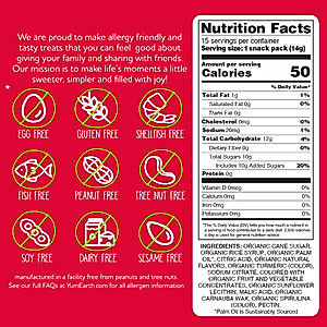 YumEarth Organic Giggles Chewy Candy – Allergy Friendly, No Artificial Dyes, Non GMO, Gluten Free, Fruit Flavored, Vegan Candy Snacks with No Artificial Flavors, 0.5 oz (Box of 15)​