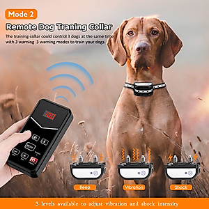 Wireless Dog Fence System for 2 Dogs, 2023 Wireless Fence & Remote Training Collar, Portable Electric Dog Boundary System, Rechargeable Garden Wireless Fence & Suitable for Puppy Small Large Dogs