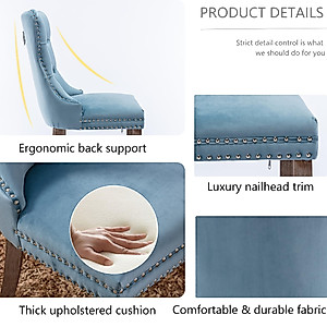 Rhomtree Set of 6 Velvet Fabric Dining Chairs Luxury Tufted Back with Nailed Trim and Back Ring Pull Home Kitchen Dining Room Chairs Armless Side Chairs Solid Rubber Wood Legs (Light Blue)
