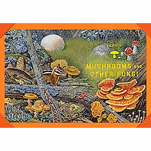 Outdoor School: Tree, Wildflower, and Mushroom Spotting: The Definitive Interactive Nature Guide