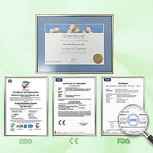 GothicBride Disposable Face Towel for Dry and Wet Use, 100% Cotton Facial Tissue, Ultra Thicked Facial Cleansing Towels, Multi-Purpose Dry Wipes for Makeup Removing, Sensitive | Baby Skincare