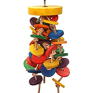 Tropical Circles - Small/Medium Parrot Wood Toy