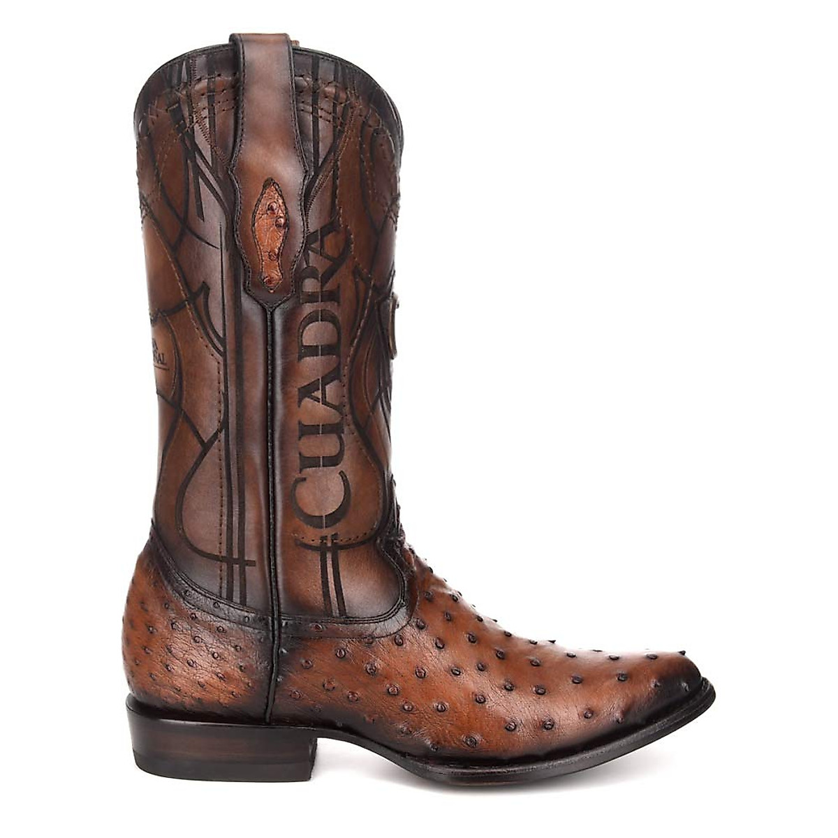 Cuadra Men's Western Boot in Genuine Ostrich Leather Brown, 2C1NA1, Size 11