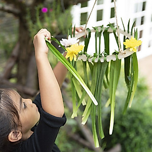 Guidecraft Discovery Frames: Kids Organic, Natural & Educational Learning Toy