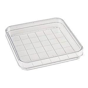 Simport D210-16 Polystyrene Square Petri Dish with Grid, Sterile, 110ml Volume, 90mm Diameter x 15mm Height (Case of 500)