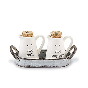 Mud Pie Farmhouse Inspired Ceramic Aluminum Salt and Pepper Caddy Set, One size, White