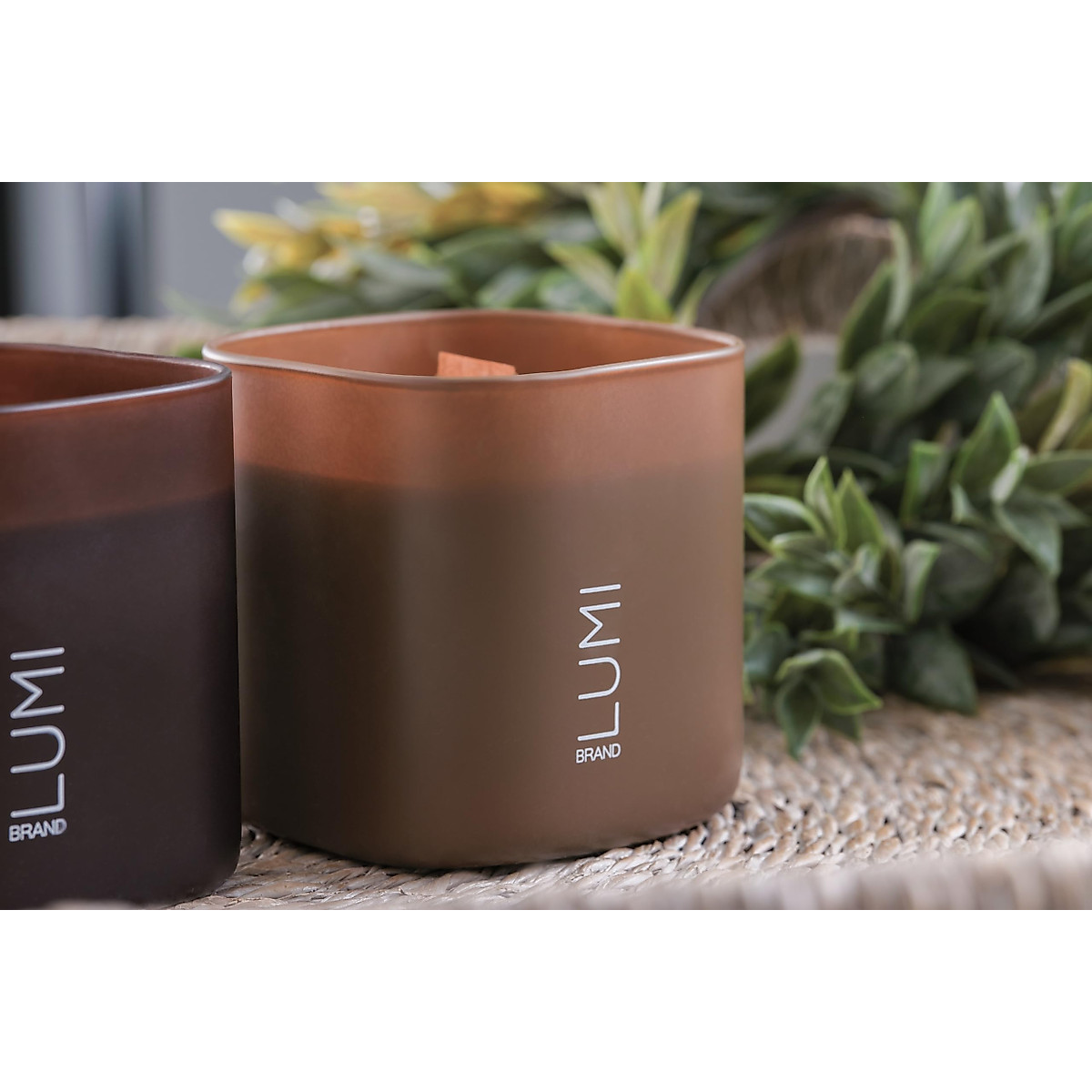 Set of 3 Scented Soy Candles Gift Set | Fall Collection | 3 Scented Candles - Canadian Cedar, Black Amber, and Sandalwood | Crackling Wood Wick | Clean Burn | 50+HR Burn Time, 9.8oz Each