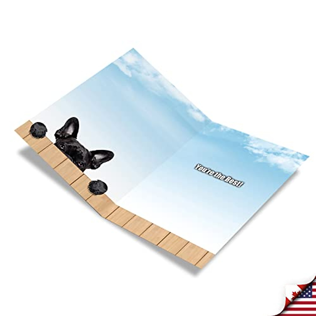 NobleWorks - Funny Thank You Greeting Card (Neighbor) with 5 x 7 Inch Envelope (1 Card) - Thank You To A Great Neighbor 9107