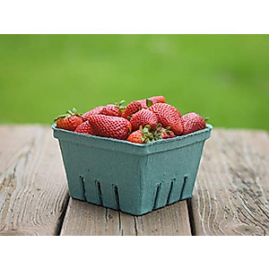 42 Pack QUART Green Molded Pulp Fiber Berry/Produce Vented Baskets for Fruit and Vegetable