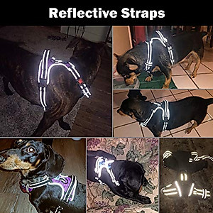 PHOEPET No Pull Dog Harness Medium Reflective Front Clip Vest with Handle,Adjustable 2 Metal Rings 3 Buckles,[Easy to Put on & Take Off](M, Orange)