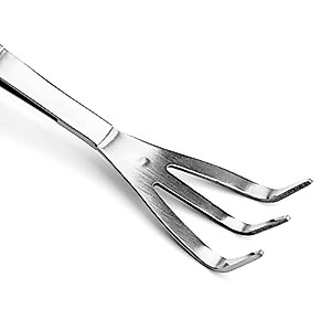 Bonsai Tools Bonsai Tweezers Rake & Scraper (JTT-02)