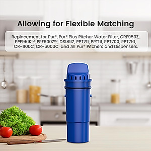 Waterspecialist NSF Certified Pitcher Water Filter, Replacement for Pur® Pitchers and Dispensers PPT700W, CR-1100C and PPF951K, Water Filter (Pack of 3)