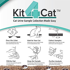 KIT4CAT 2lb Hydrophobic Cat Litter for Urine Collection, Hydrophobic Sand Urine Collection Litter Kit I Collect cat Urine Sample for Test (3 x 11oz Bags)