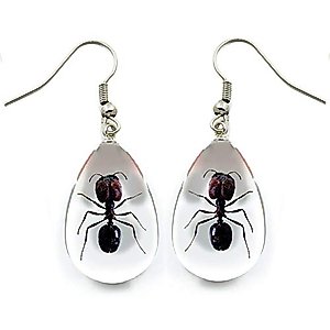 BicBugs Bullet ant Earrings