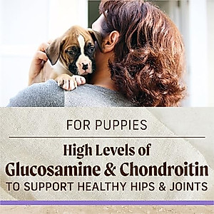 Merrick Healthy Grains Premium Dry Dog Food, Wholesome And Natural Kibble For Healthy Digestion, Puppy Recipe - 4.0 lb. Bag