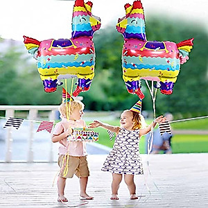 Fiesta Mexican Foil Balloons Party Decorations - 9PCS Mexico Taco Llama Cactus Avocado Foil Balloon Birthday Mexican Fiesta Theme Birthday Luau Party Decoration