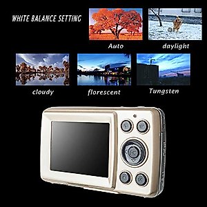 Portable Digital Camera, 16MP Zoom Recording Compact Camera Pocket Camera with 2.4 Inch Display Point and Shoot Camera for Kids, Beginners(Black)