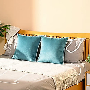 GAWAMAY Soft Velvet Farmhouse Spring Teal Pillow Covers 18x18 Set of 2,Decorative Green Throw Pillows with Chenille Thread Edge,Square Boho Couch Pillows for Living Room Sofa Couch Beding(45x45cm)