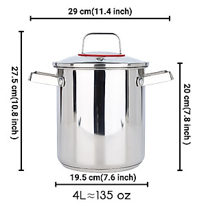 Multi-purpose Pasta and Asparagus Cooker - Stainless Steel Cooking Pot with Strainer and Lid - Durable Kitchen Cookware for Noodles, Spaghetti, Deep Frying - Large Capacity, Dishwasher Safe