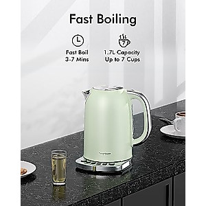 Electric Tea Kettle with Temperature Control, Longdeem 1.7L Stainless Steel Water Boiler & Heater, 1500 Watts for Fast Boiling, Cordless Serving with LED Light, Pastel Green