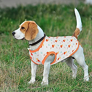 Preferhouse 2 Pieces Dog T-Shirt Dog Cat Geometry Print Vest with Pocket Puppy Kitten Tee Pet Apparel Summer Breathable T-Shirts Suitable for Small and Medium Pets (X-Large, White)