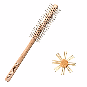 Phoenix Tree Small Round Brush for Short Hair, for Women and Men, Best for Thin Hair, Bangs, Beard, Curling,Straight Hair, Blow Dryer Styling, Mini Size(Golden)