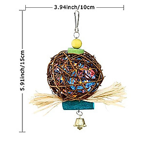 Kassbest Bird Parrot Chewing Toys,Natural Rattan Ball Shredder Toy Cage Foraging Shredder Toy and Bird Beak Grinding Stone Lava Block Calcium Supplement for Budgie Lovebirds Conures Parakeet 2 Pack