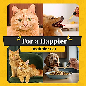 Glucosamine Liquid for Dogs & Cats - Joint Supplement for Dogs & Cats - Joint Supplement with Chondroitin, MSM, Hyaluronic Acid, Biotin, Collagen Peptides & Taurine - Max Potency for Hip & Joint Care.