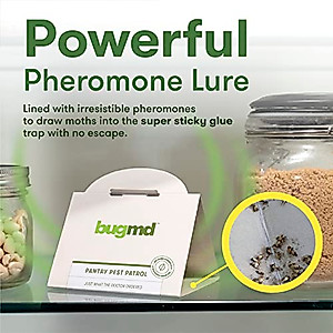 BugMD Pantry Pest Patrol (6 Count) - Moth Traps for Kitchen, Pantry Moth Trap, Bug Trap, Moth Traps for House Pantry, Get Rid of Pantry Moth, Kitchen Moth Trap Killer