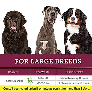 Vetality Canine Aspirin for Dogs | Fast Pain Relief | Large Dogs | Liver Flavor | 120 Chewable Tablets