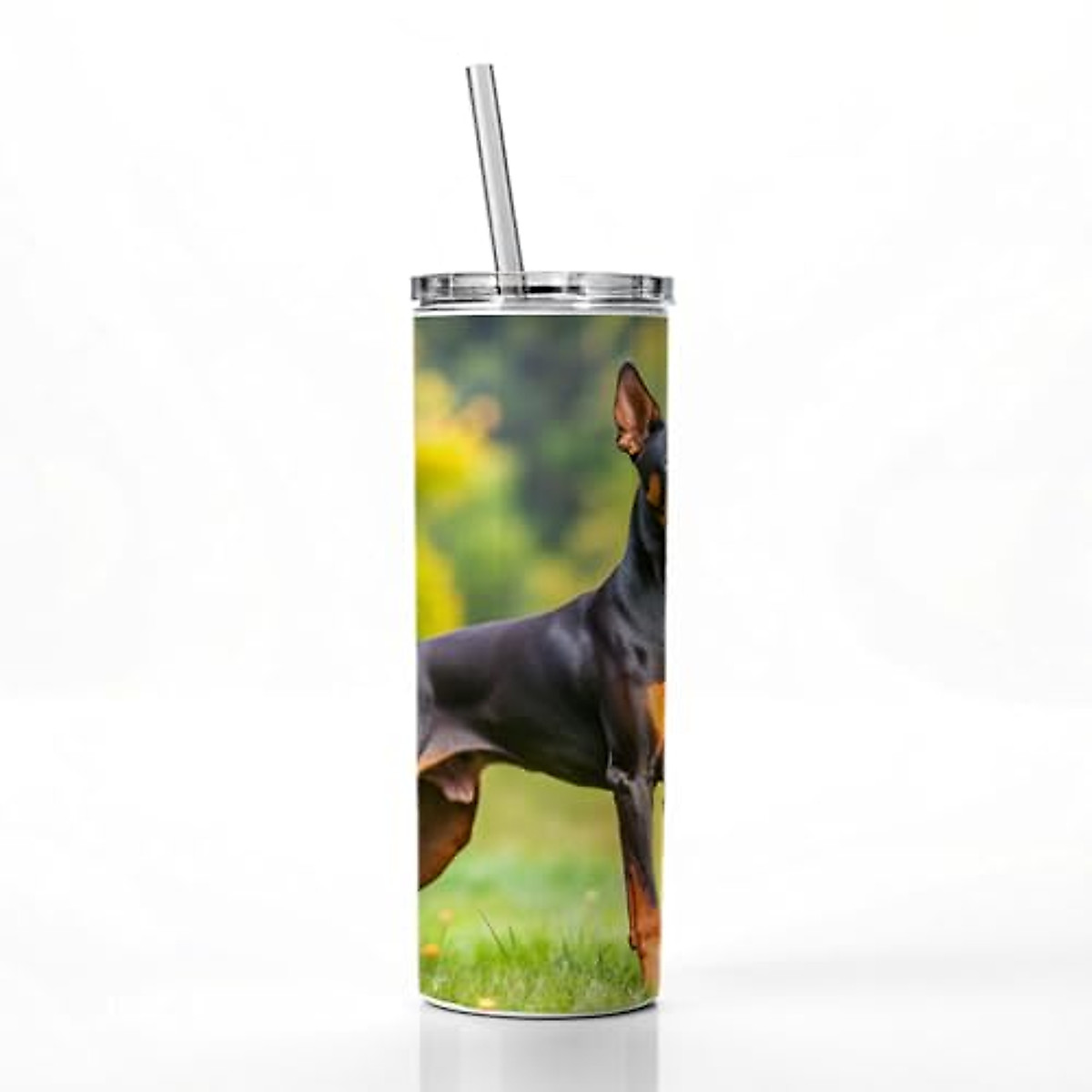 German Pinscher Dog Photo Skinny Tumbler 20oz with Straw Insulated Water Bottle Gift