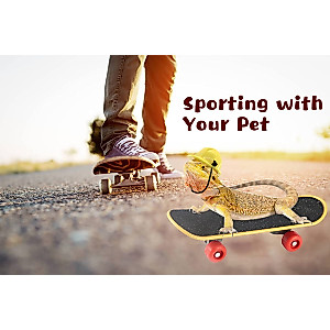 Vehomy Bearded Dragon Accessories Small Engineer Hat for Bearded Dragon Lizard Construction Helmet Hats and Mini Scooter for Hamster Lizard Parrot Reptile Small Animals 3Pcs