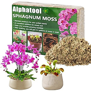 10 Oz Natural Sphagnum Moss for Plants- 22QT Dried Orchid Moss for Repotting Moisture Holding Plant Moss for Potted Plants Indoor Plant Growing Medium for Carnivorous Plants Succulent