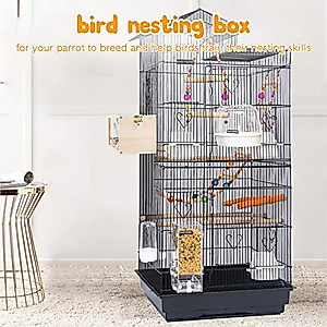 Rypet Parakeet Nesting Box Transparent Design, Bird Nest Breeding Box with Perch Wood Bird Cage House for Cockatiel Lovebirds Budgie Finch Parrotlets Canary