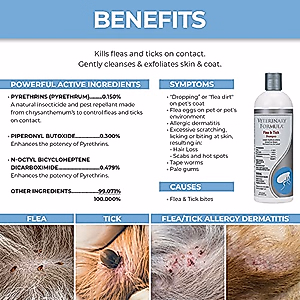 Veterinary Formula Flea and Tick Shampoo for Dogs and Cats, 16 oz