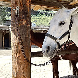 10 Pcs Equestrian Bucket Hook Hangers Metal Horse Water Bucket Hooks Heavy Duty Horse Accessories Wall Mount Bucket Holder for Horse Stall Feed Stable Farmhouse Supplies (Silver)