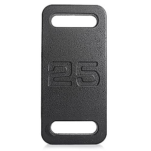 Philosophy Gym Cast Iron Ruck Weight - 25 LB Weighted Ruck Plate with Handle