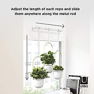 Umbra 1011748-524 Triflora Hanging Planters for Indoor Plants or Herbs, White/Brass,42" Width