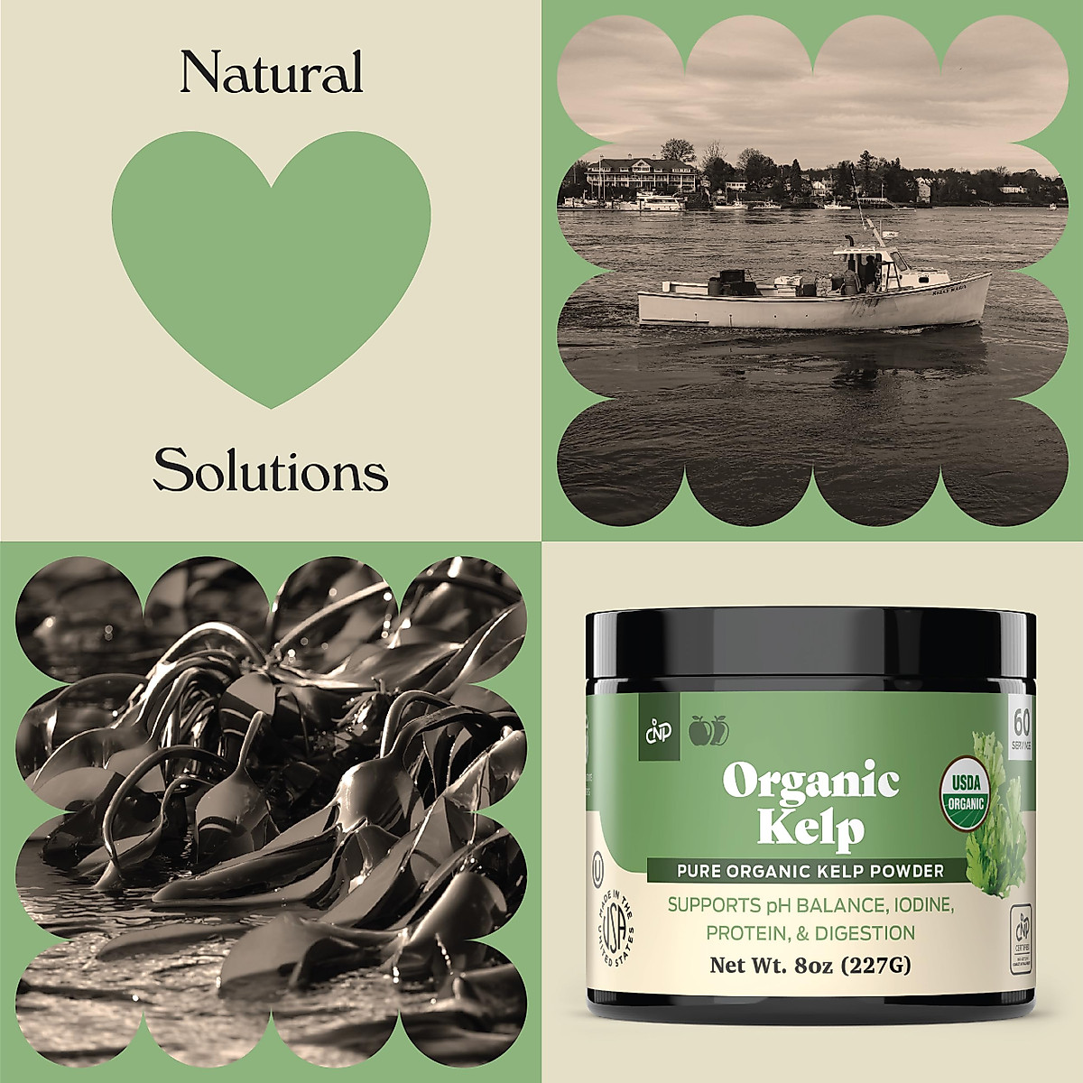 Organic Kelp Powder Supplement - Bulk Raw, Dry, Pure Sea Kelp Seaweed Powder 8oz 75 Serving Thyroid, Iodine, & Digestion