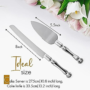 Homi styles Cake Knife and Server - Wedding Cake Knife Set - Serving Set for Receptions, Birthdays - Cake Cutting Set - Match the Color to Your Event Theme - Cake Knife and Cutter (Silver)