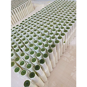 2PC Lip care Of Lips Pink Fresh Lightening Bleaching Cream Treatment Remove Dark Smoke Lips lip oil Green 2 Count (Pack of 1)