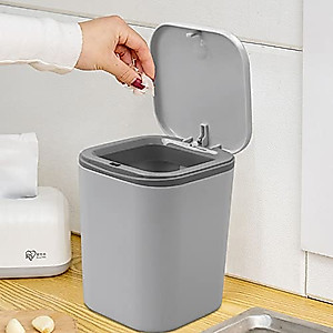 Bringer 0.5 Gallon Plastic Tiny Waste Can, Mini Trash Can with Lid, Gray