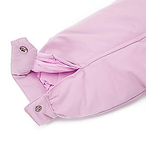 TJTJXRXR Infant and Toddler Baby Boys/Girls Snowsuit Winter Baby Clothing Set Duck Down Hooded Jacket +Bib Pants 2 Pieces Set (as1, age, 3_years, 4_years, Pink)