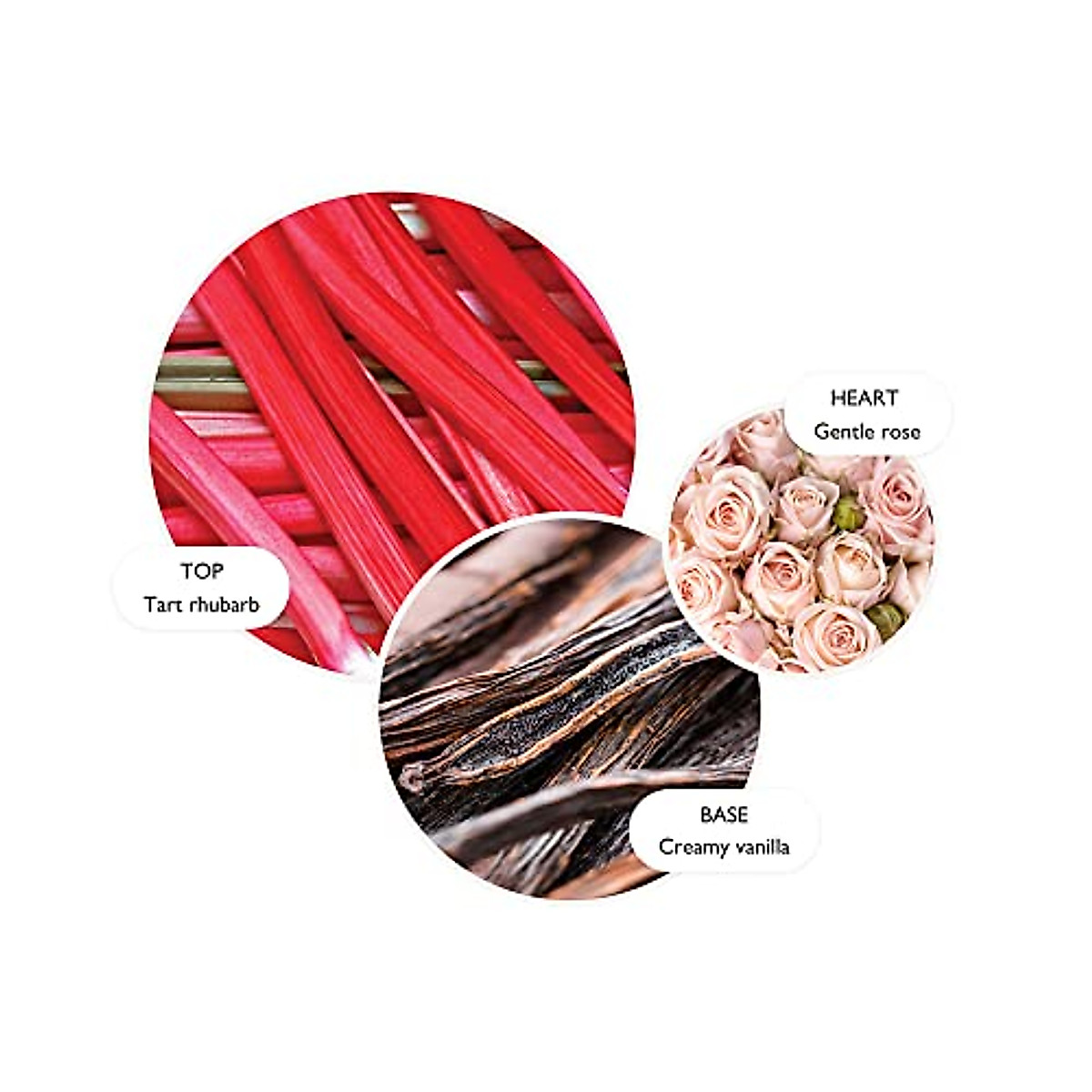 Molton Brown Delicious Rhubarb and Rose Fine Liquid Hand Wash