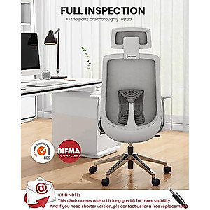 Dripex Mesh Office Chair for Home, Ergonomic Desk Chair with Arms/Lumbar Support/Mesh Back/Adjustable Headrest & Height/Wheels, Computer Chairs Tilt Reclining Swivel Rolling Chair, Grey