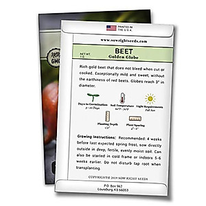 Sow Right Seeds - Golden Globe Beet Seed for Planting - Non-GMO Heirloom Packet with Instructions to Plant a Home Vegetable Garden - Great Gardening Gift (1)