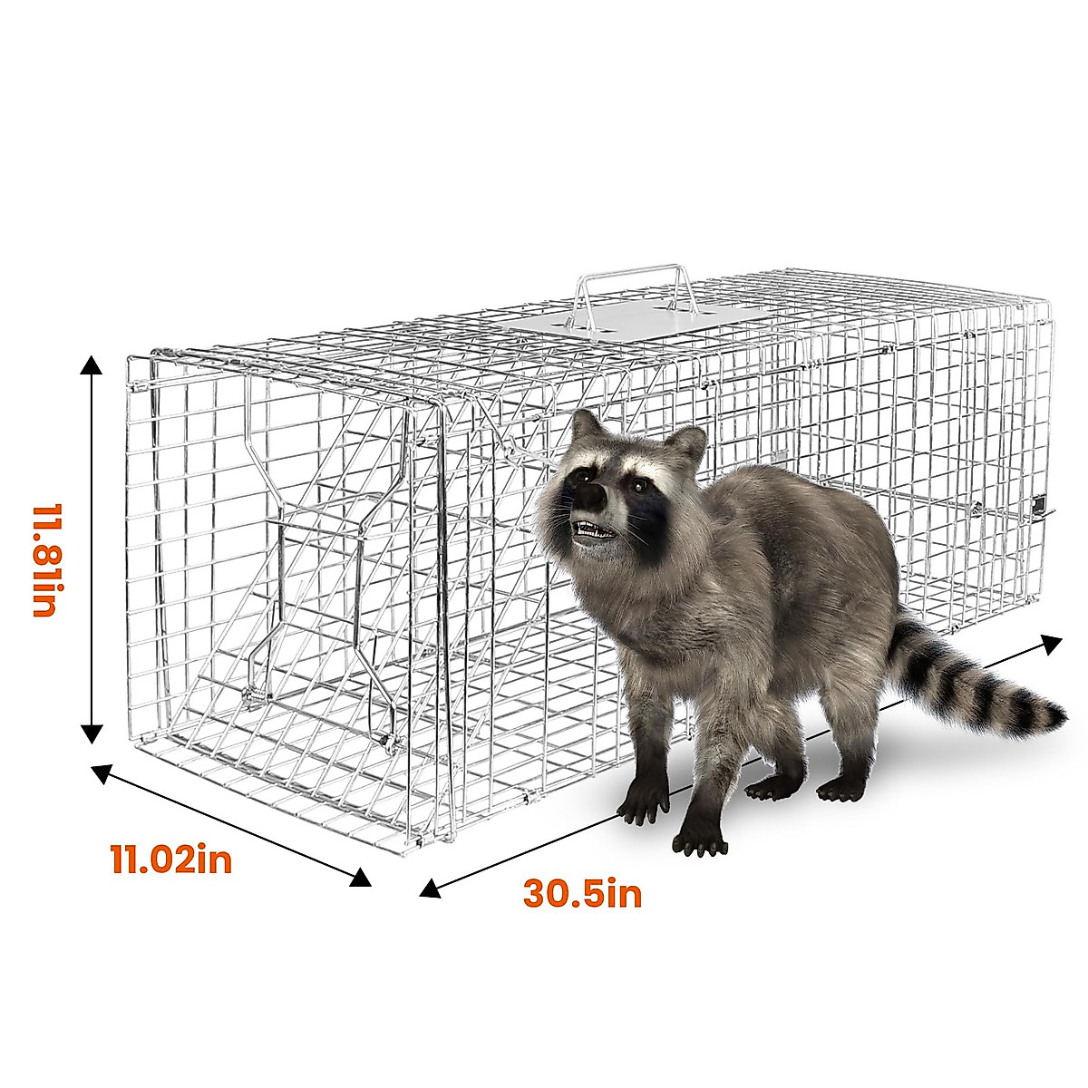 Moclever Live Animal Cage Trap Humane Cat Trap Cage Catch Release Live Animal Rodent Cage Collapsible Galvanized Wire for Rabbits, Stray Cat, Raccoon, Groundhogs, Mole,Gopher,Opossum-30.5X11.81X11 in